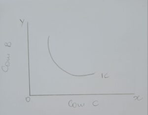 explain the properties of indifference curves with graphs